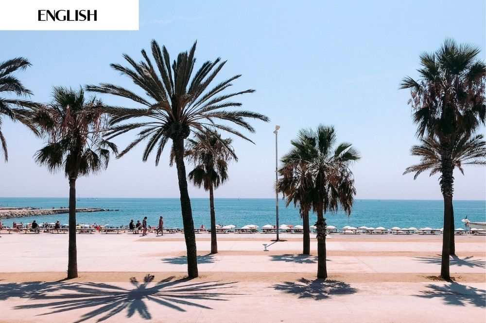 30+ Essential Catalan Phrases And Expressions | Catalan Words